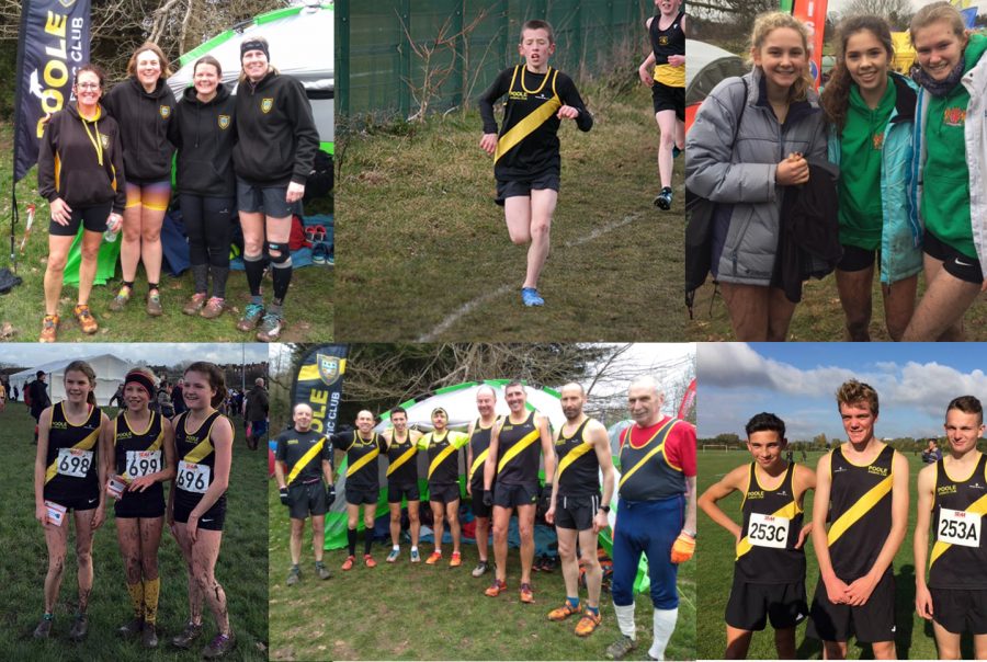 POOLE Athletic Club – Where athletes come together in track and field ...